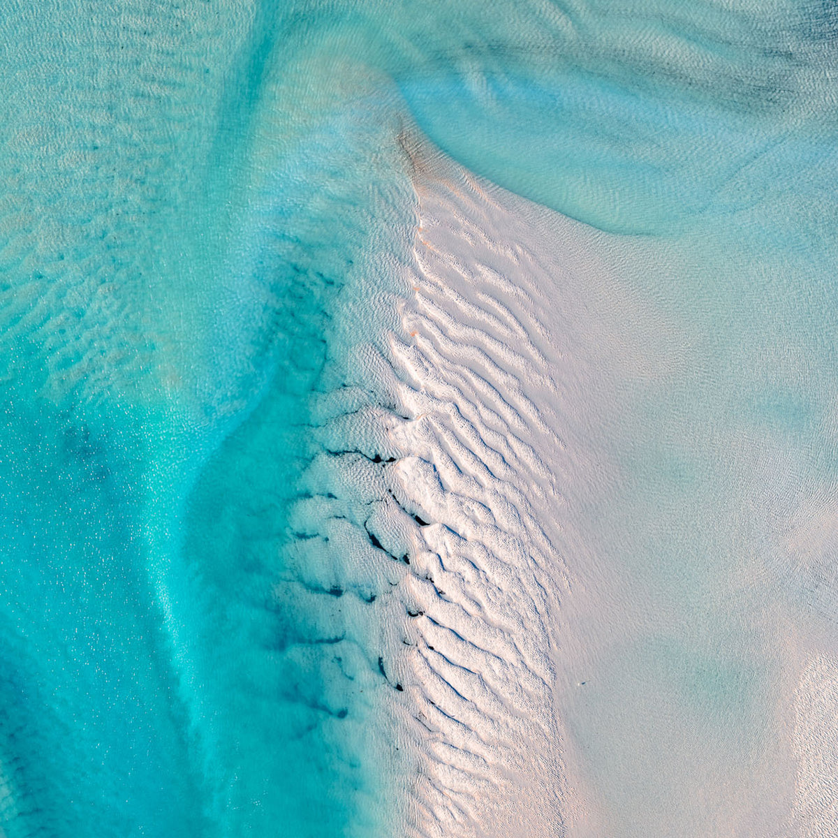 Dynamic Tides – Kevin Krautgartner