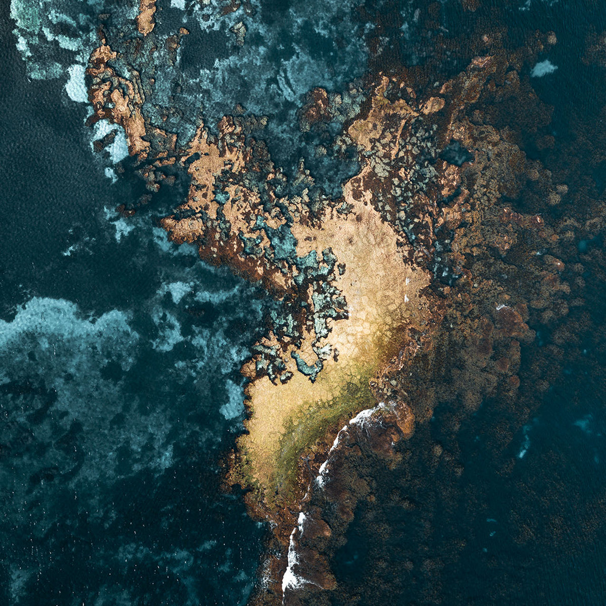 Rottnest Island Coral Reefs 01 – Kevin Krautgartner